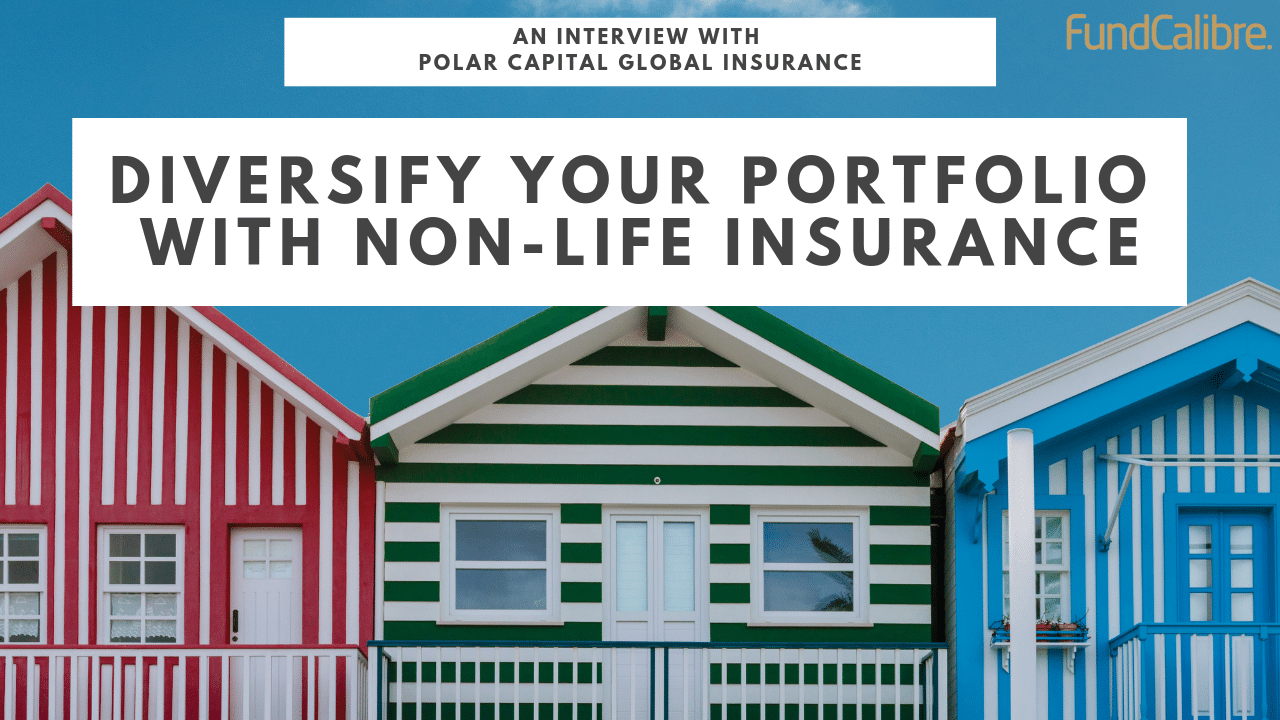 Diversifying your portfolio: investing in the non-life insurance sector ...