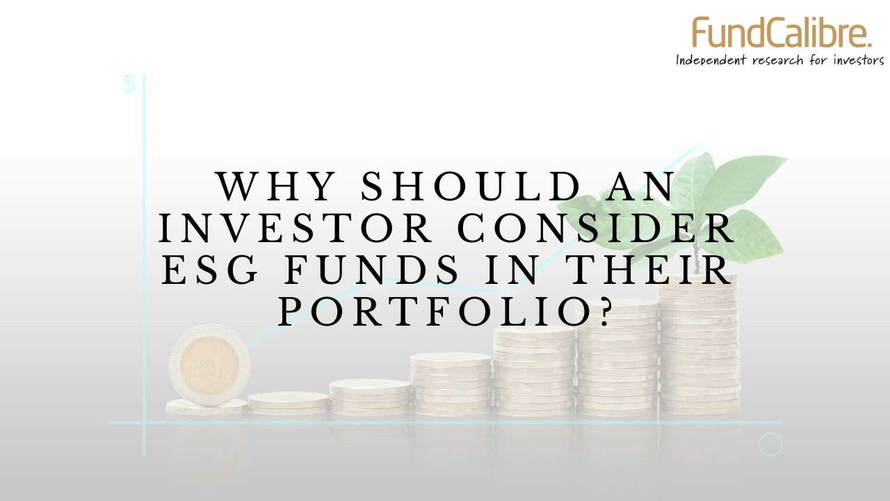 Why should an investor consider ESG funds in their portfolio? - FundCalibre